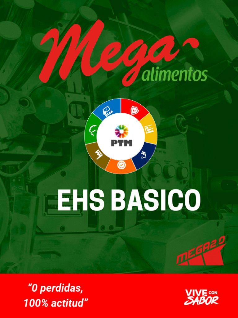 EHS Basico Manual | PDF