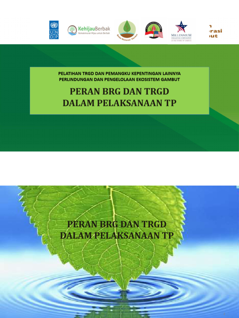 Peran BRG Dan TRGD Dalam Pelaksanaan TP | PDF