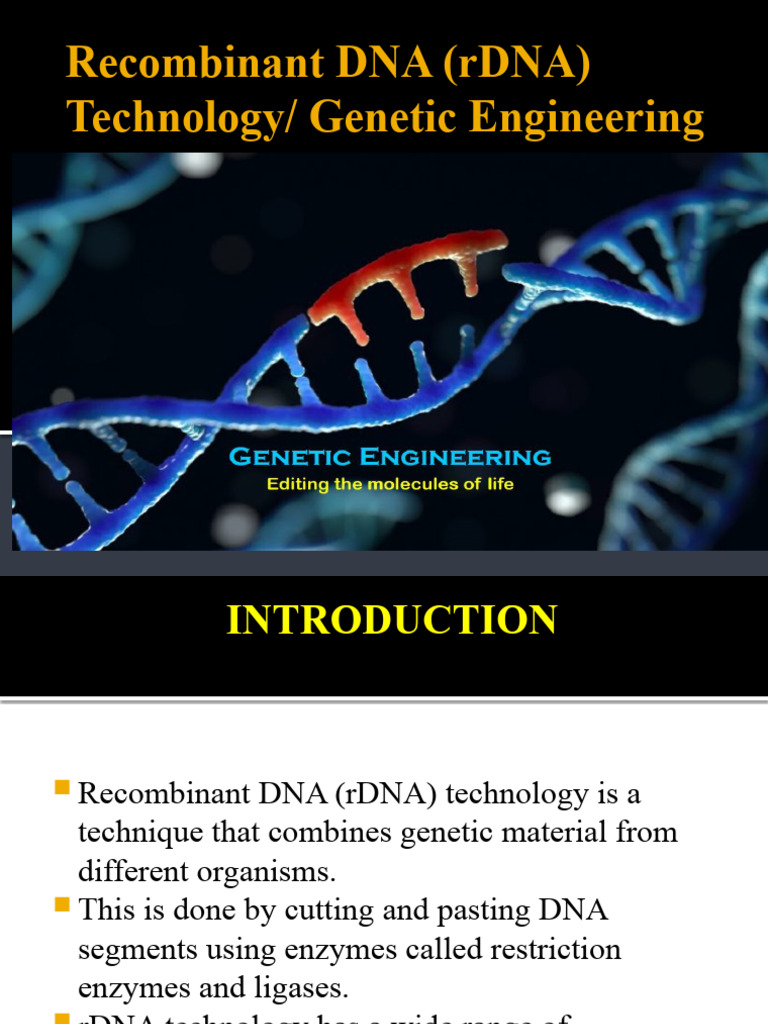 Recombinant DNA (RDNA) Tech Ppt 23 | PDF