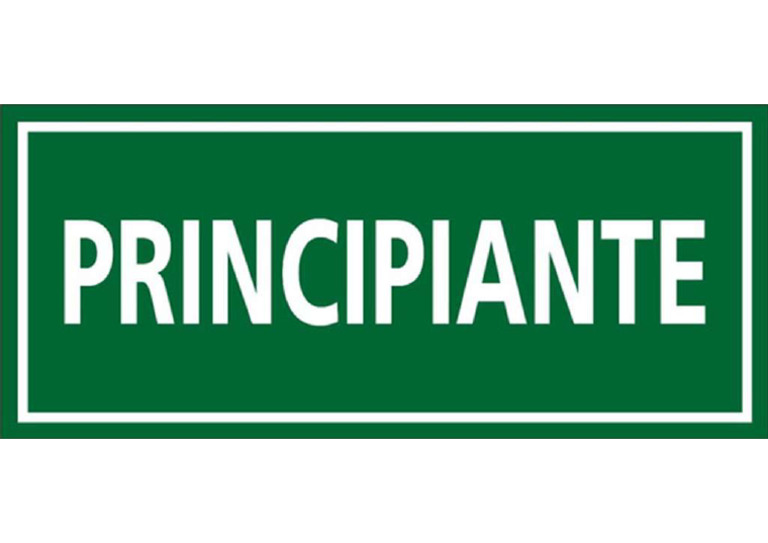 Cartel para Imprimir - PRINCIPIANTE | PDF