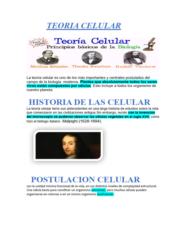 Teoria Celular | PDF