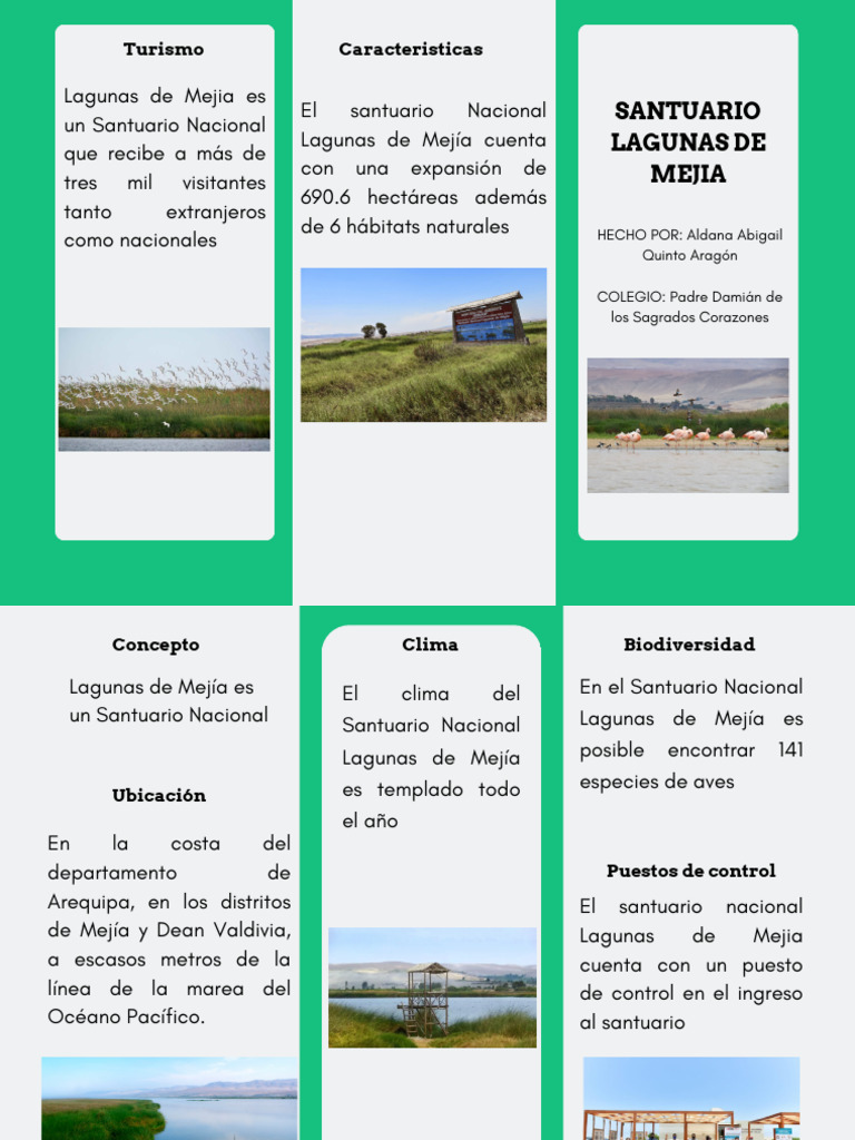 Folleto Tríptico de Servicio de Marketing Agencia Creativa Ilustrado Doodle Multicolor ...