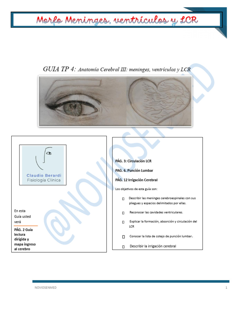 9-GUIA TP 4 Meninges LCR Actualizado | PDF | Fluido cerebroespinal | Sistema nervioso central