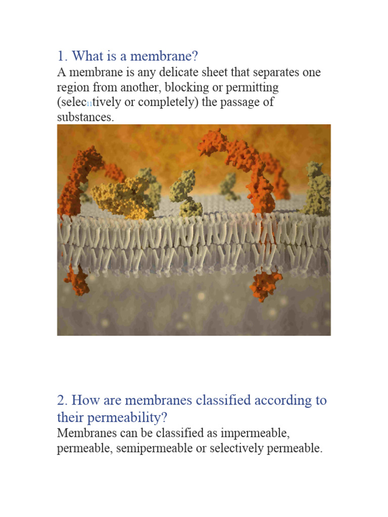 Cell Membrane Questions and Answers | PDF | Cell Membrane | Osmosis