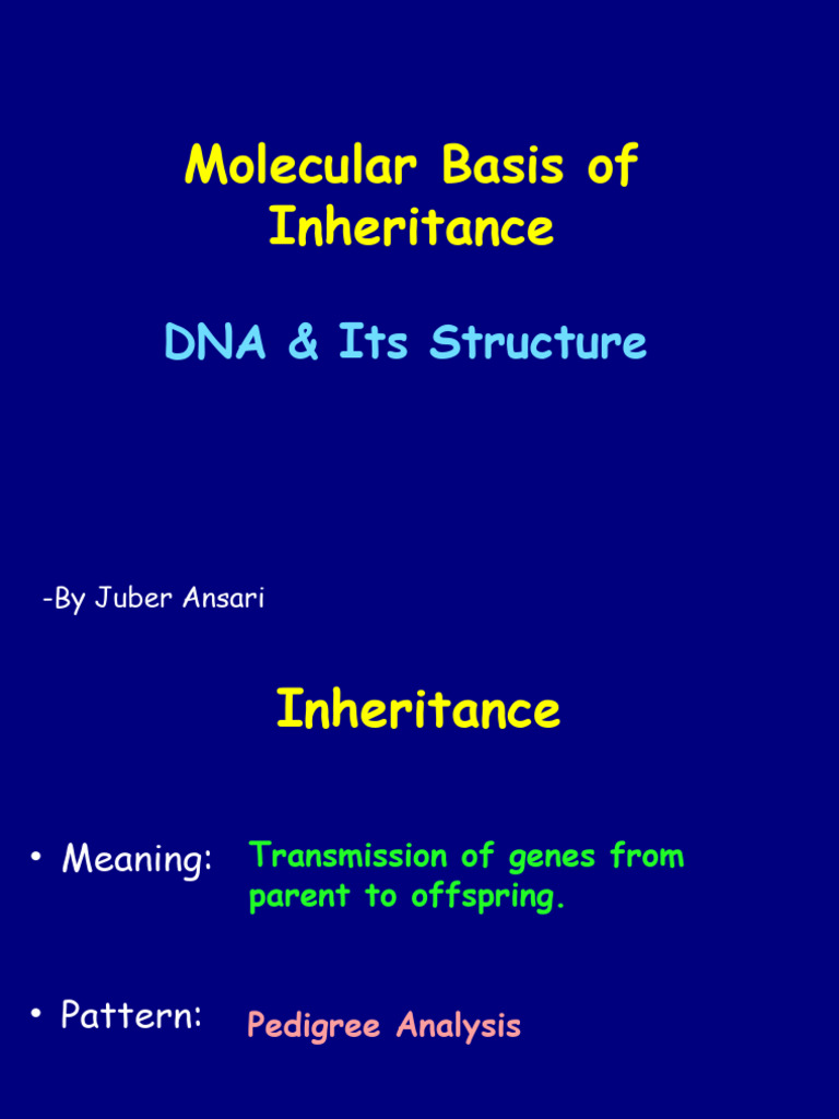 Molecular Basis of DNA Inheritance | PDF