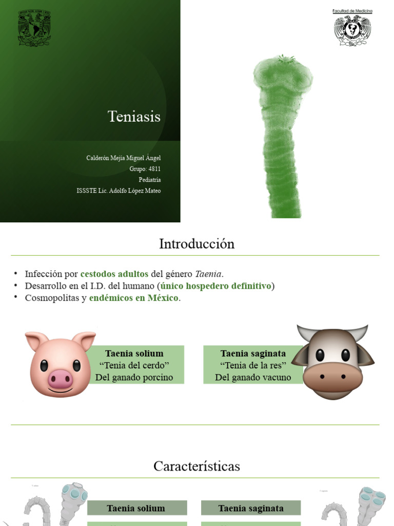 Teniasis | PDF | Inmunología | Causas de la muerte