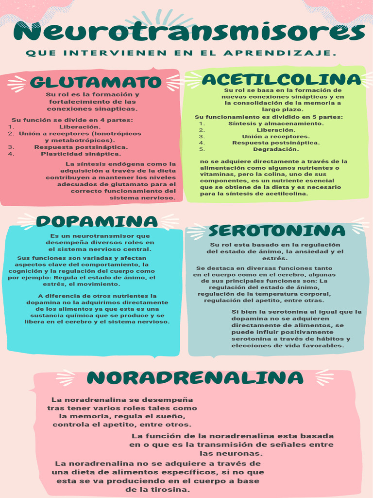 Neurotransmisores | PDF | Sinapsis | Norepinefrina