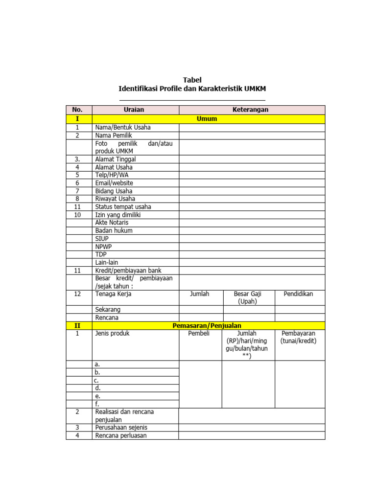 Form Profile UMKM | PDF