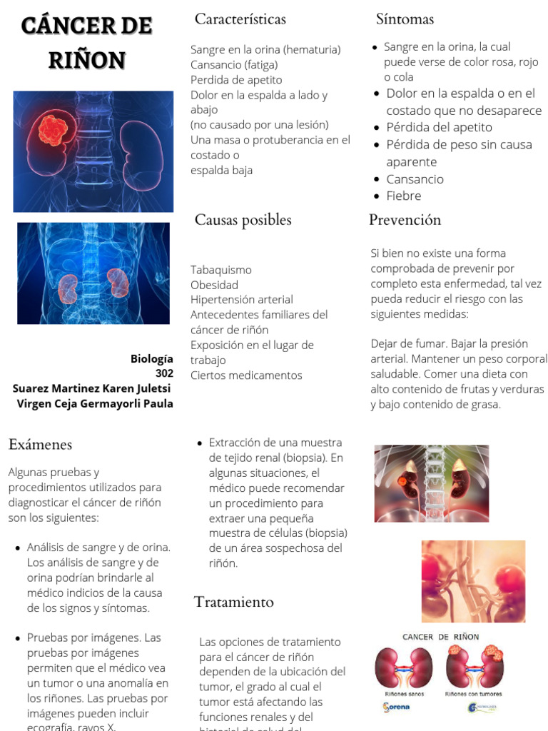 Tríptico Cáncer | PDF | Cáncer | Epidemiología