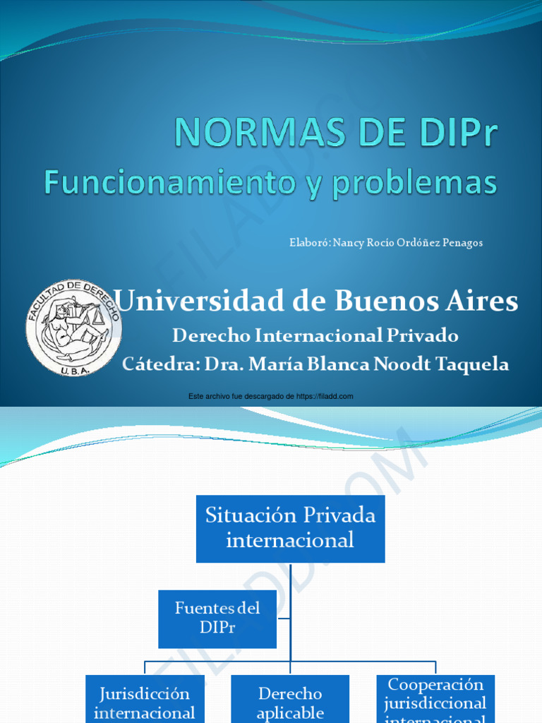 06 Normas Del DIPr Power Point NOP | PDF | Justicia | Crimen y violencia