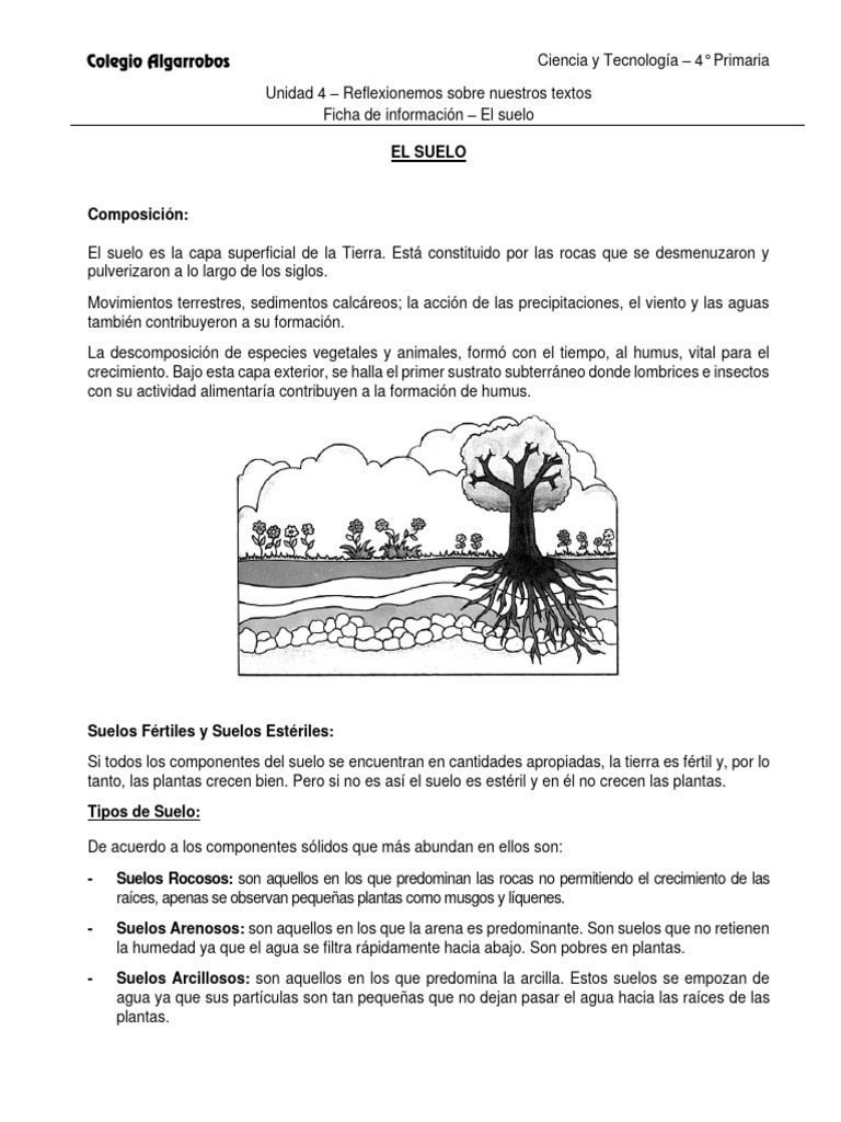 Ficha de Informacion El Suelo y Sus Capas 2 | PDF | Suelo | Roca (geología)
