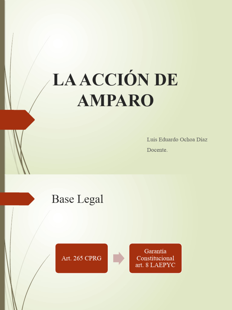 La Acción de Amparo | PDF | Constitución | Judicaturas