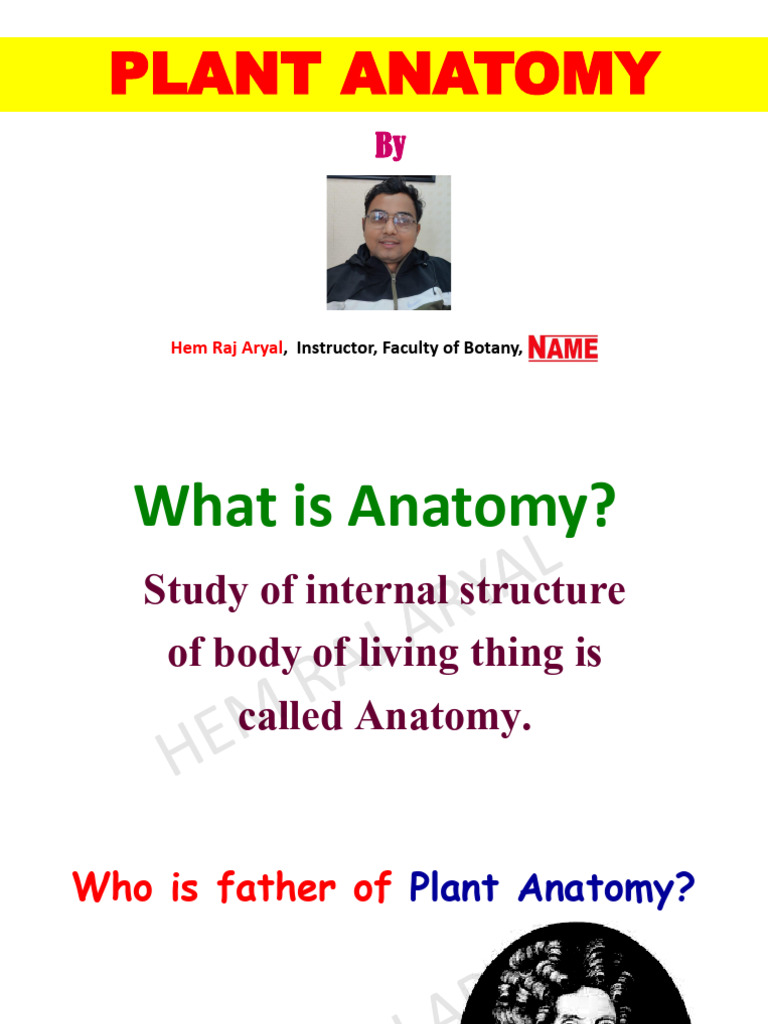 Complete Plant Anatomy Note | PDF | Plant Stem | Tissue (Biology)