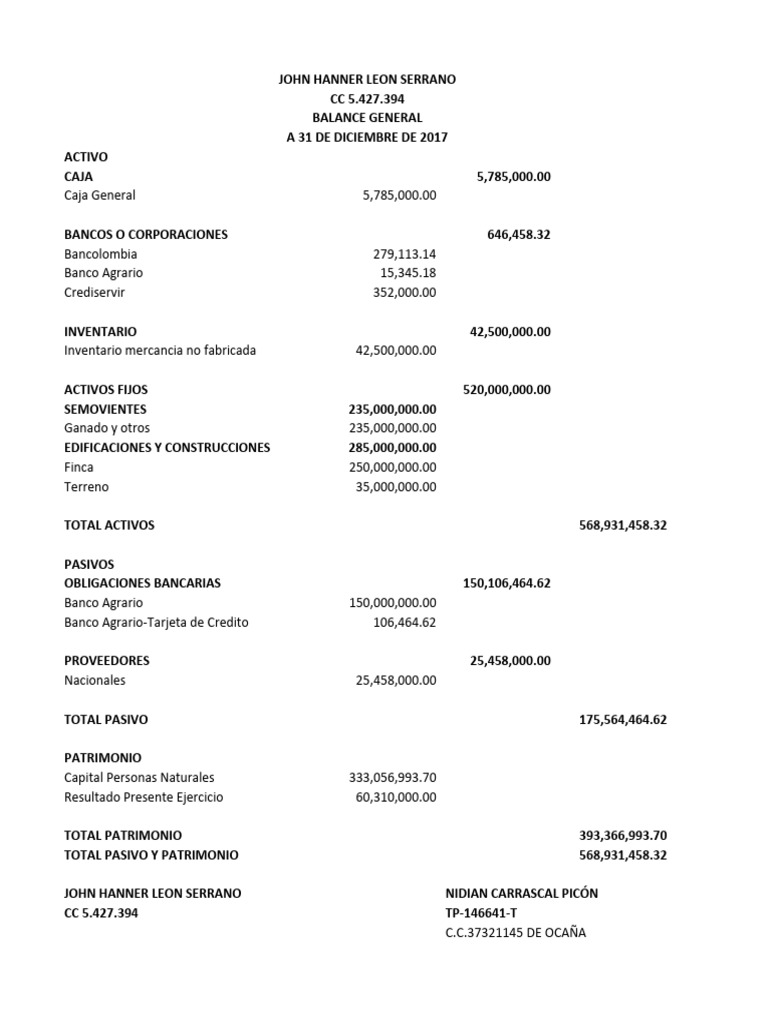 Modelo Balance para Decl Renta Nidia | PDF | Contabilidad | Hoja de balance