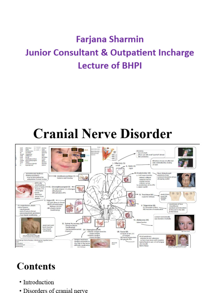 Overview of Cranial Nerve Disorders | PDF | Diseases And Disorders ...