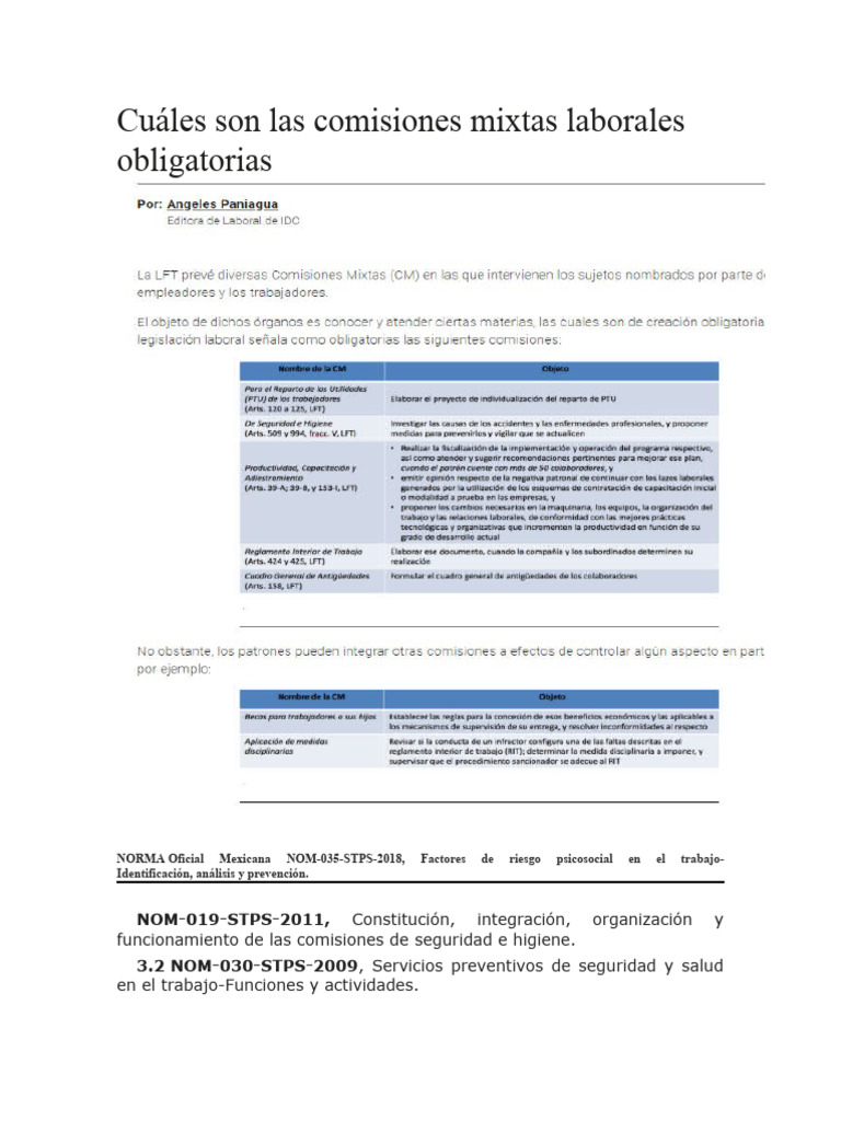 Comisiones Mixtas Laborales | PDF | Business