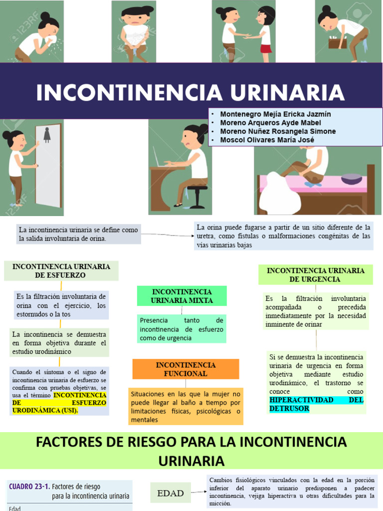 INCONTINENCIA_URINARIA_EXPO | PDF | Micción | Sistema genitourinario