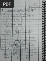 Kirayanama Format | PDF