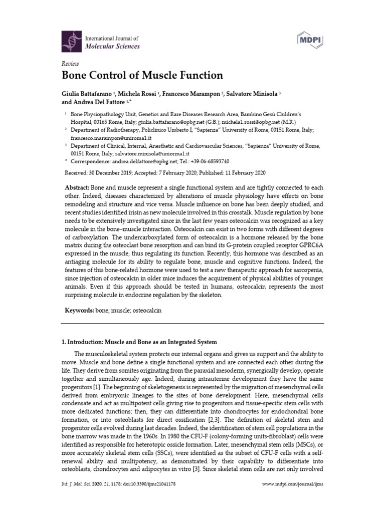 Bone Control of Muscle Function | PDF | Bone | Interleukin 6