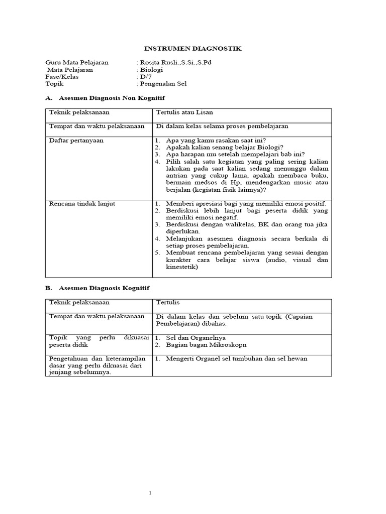 Contoh Asesmen Diagnostik Dan Kognitif Nurjannah | PDF