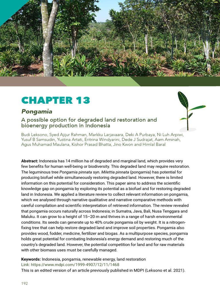 Pongamia: Biofuel and Land Restoration in Indonesia | PDF | Biodiesel ...