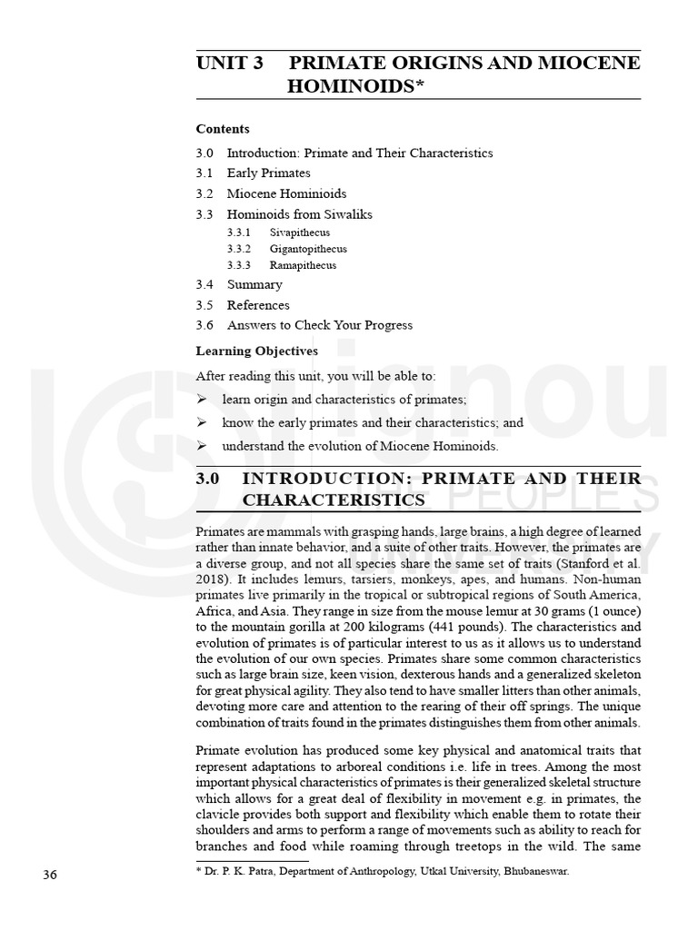 Unit 3 | PDF | Ape | Hominidae