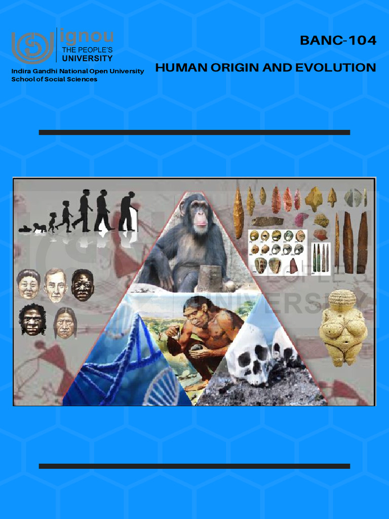 Human Evolution | PDF | Homo | Fossil