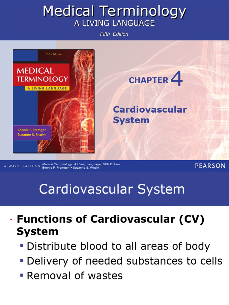 Cardiovascular System Terminology Guide | PDF | Heart | Artery