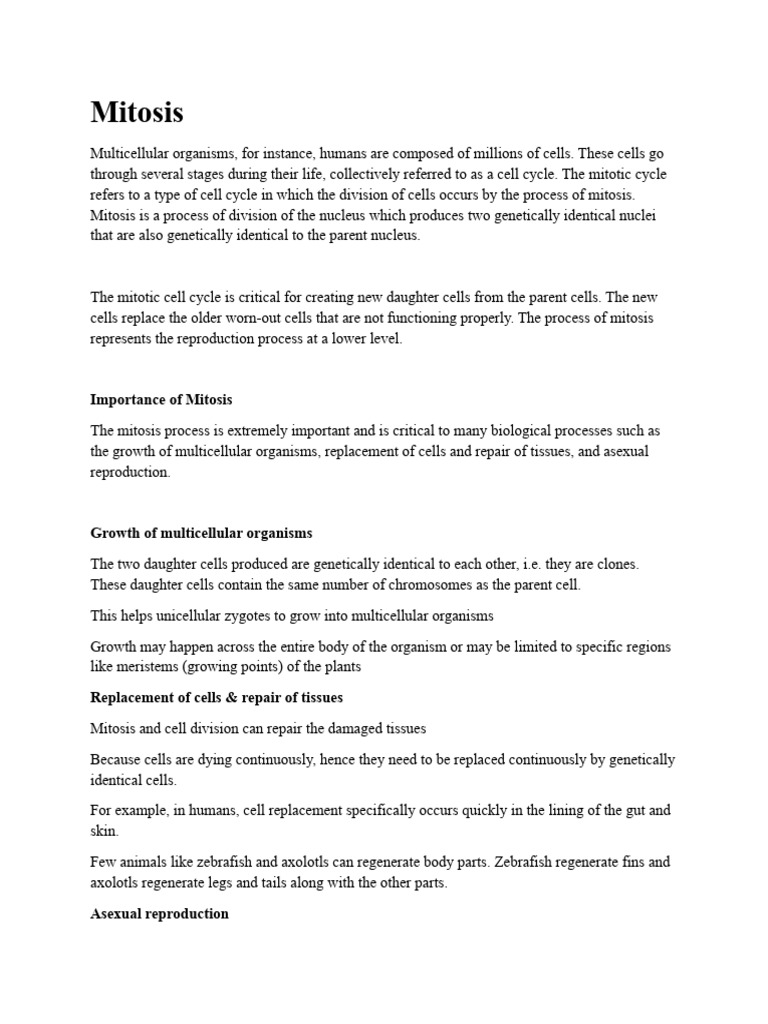 A Level Notes Mitosis | PDF | Science & Mathematics