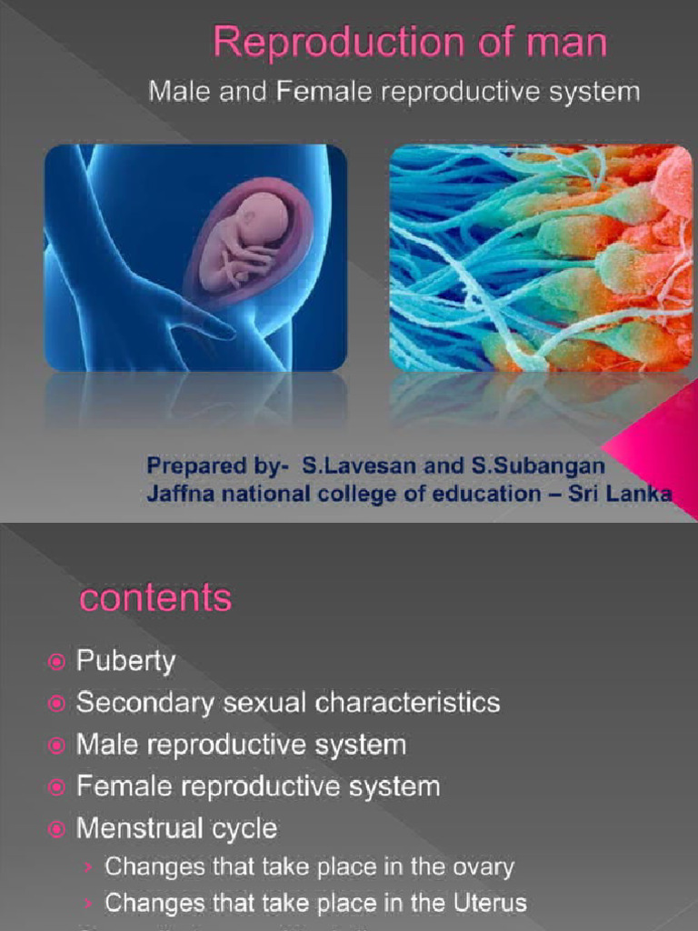 Reproductive System 227460451 227460451 | PDF