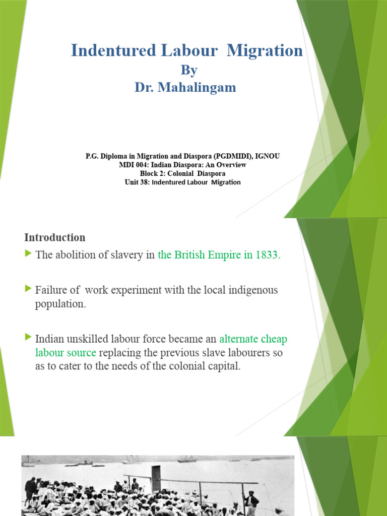 Indentured Labour Migration Overview | PDF