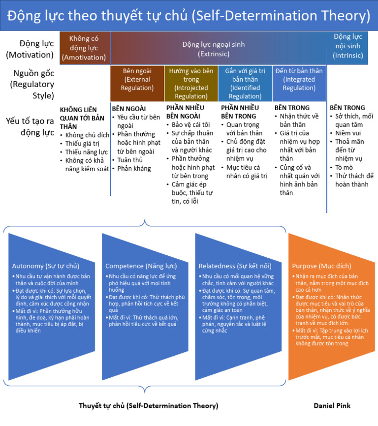 Self Determination Theory | PDF