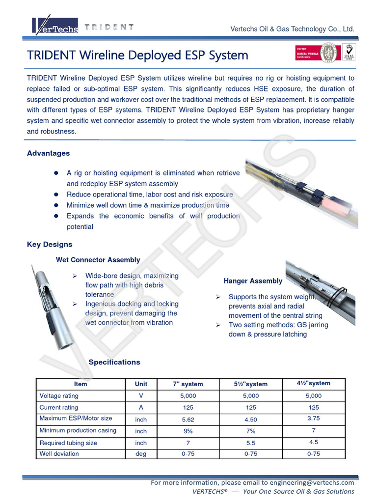 Flyer-TRIDENT Wireline Deployed ESP | PDF | Manufactured Goods