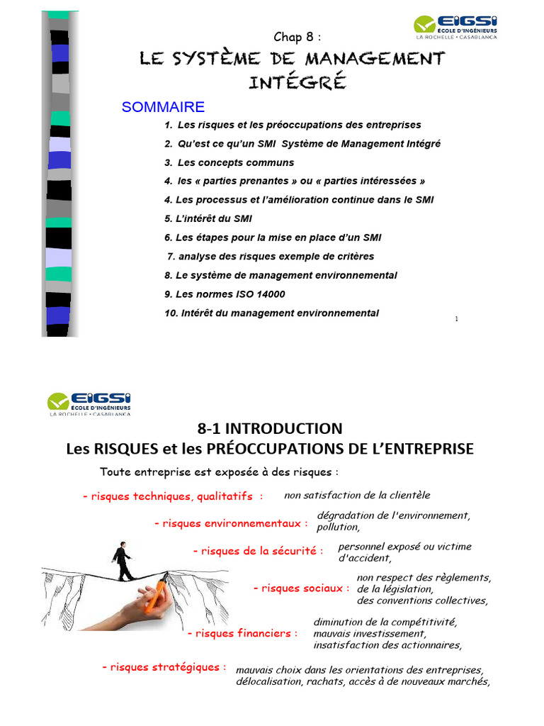 Mise en place d'un Système de Management Intégré | PDF | Système de ...