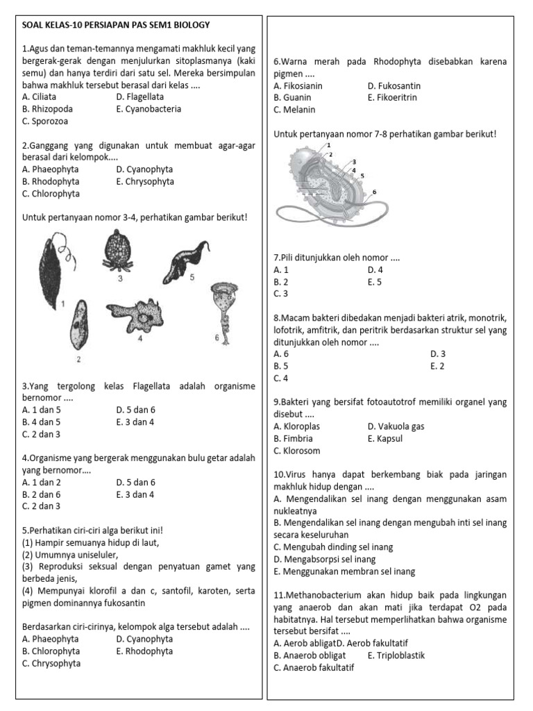 Soal Kelas 10 PAS SEM-1 SSCI | PDF