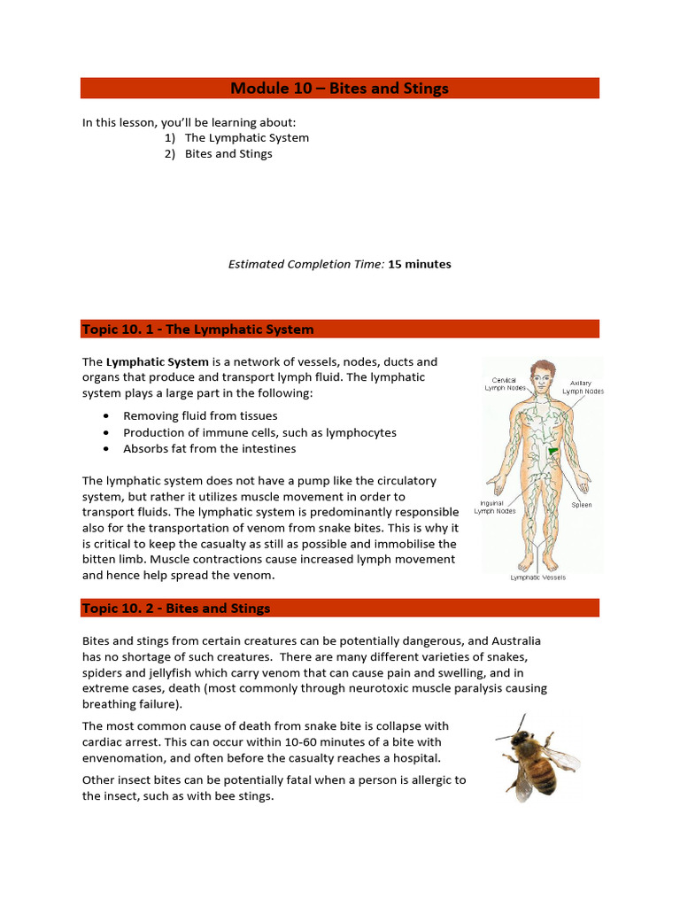 First Aid 10 | PDF | Lymphatic System | Allergy