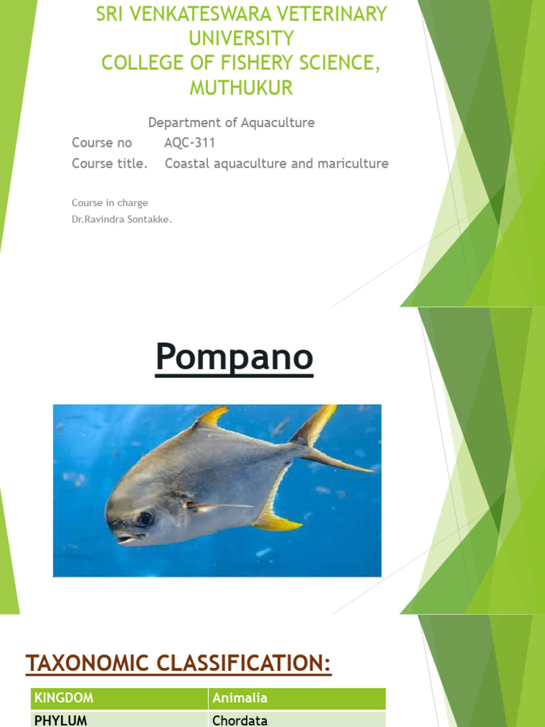 culture of pompano | PDF | Water | Pond