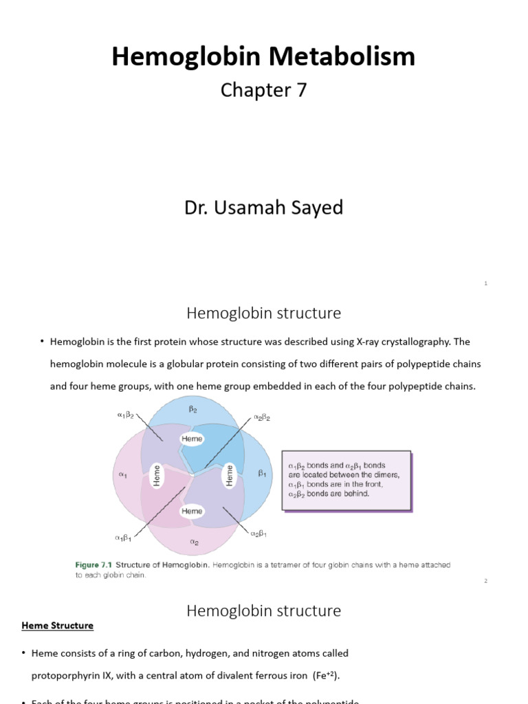 DH1 Unit 05 Hemoglobin Metabolism | PDF | Hemoglobin | Red Blood Cell