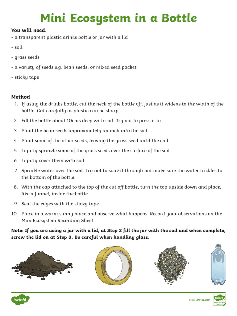 Create a Mini Ecosystem in a Bottle | PDF