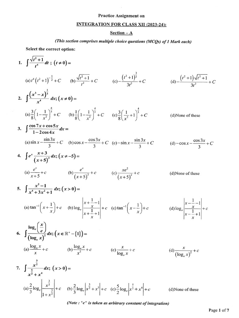 Assignment Integration & LPP Class XII | PDF