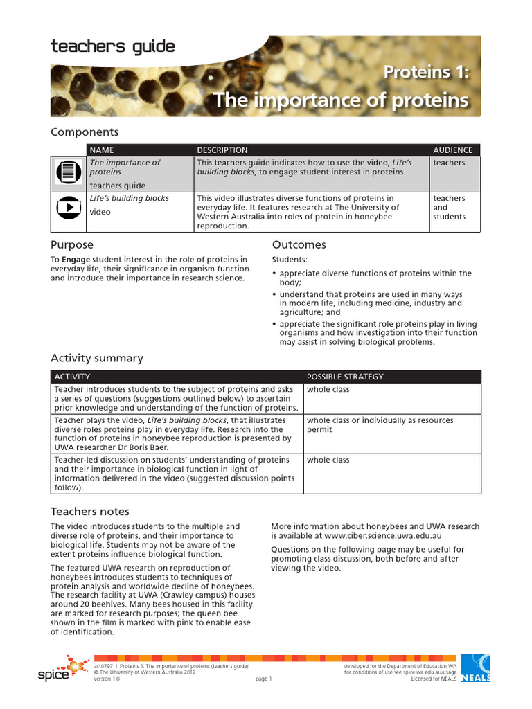 Proteins Work | PDF | Proteins | Honey Bee
