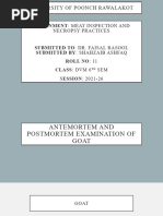 Goat Vital Signs and Health Guide | PDF | Goat | Thermoregulation