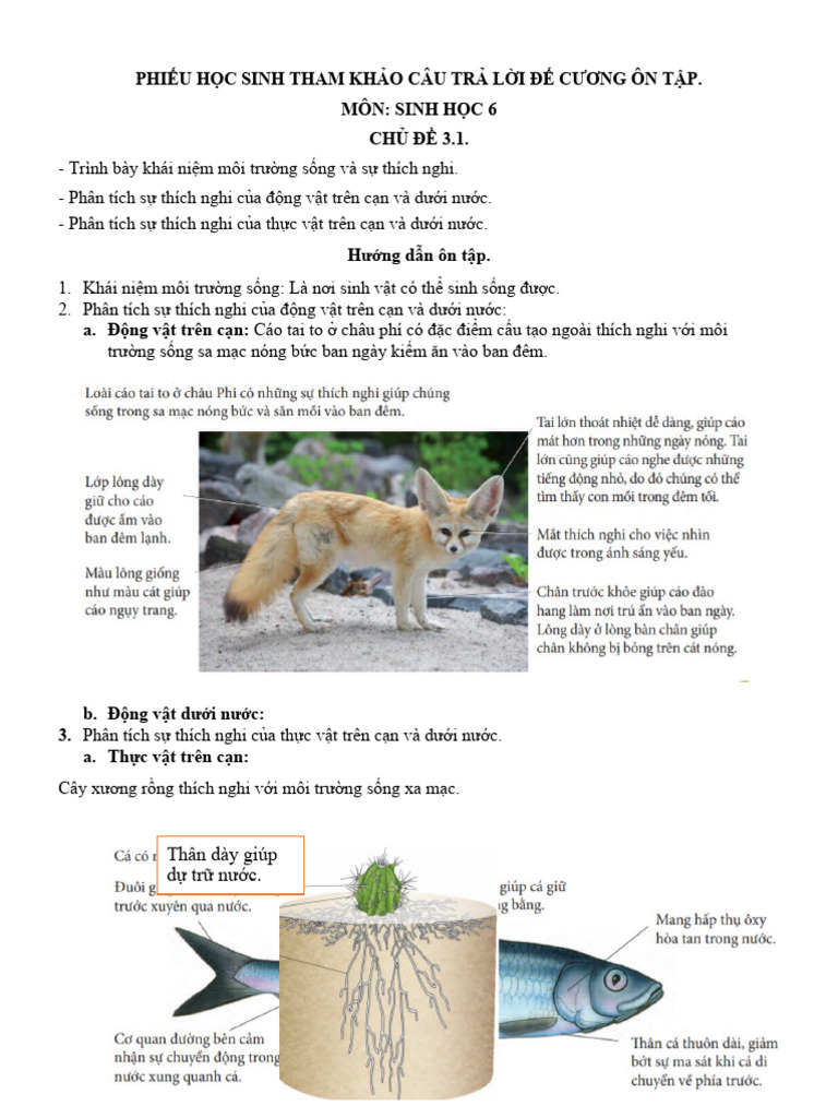 Tham Khảo Hướng Dẫn Ôn Tập Sinh Học 6 | PDF