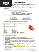 Cockroach Dissection | PDF | Wellness