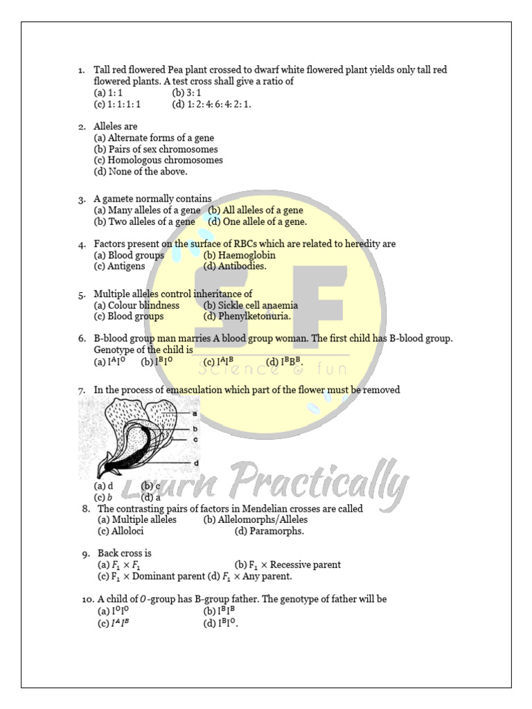 Documentt | PDF | Dominance (Genetics) | Zygosity