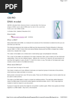 DNA Model Biology Project | PDF