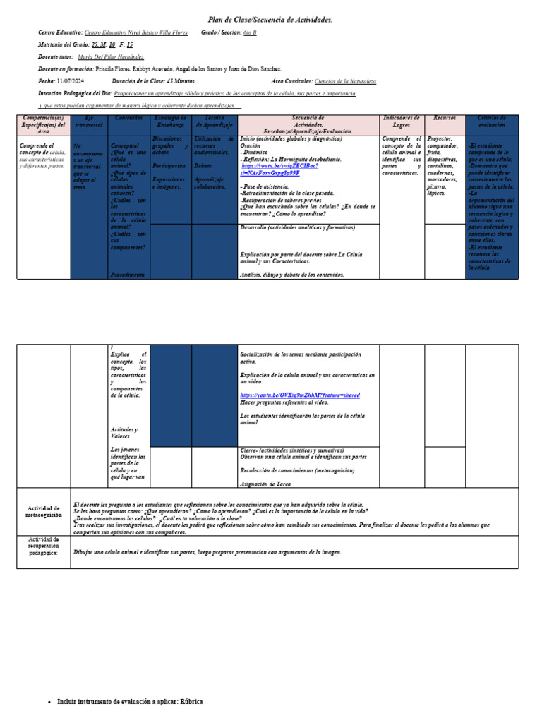 Planificación de La Micro-Clase | PDF | Evaluación | Maestros