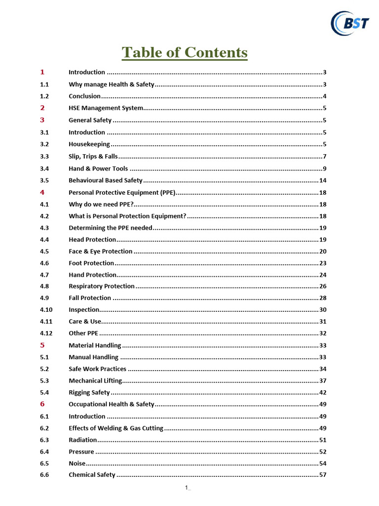 GHSE FSP Use Printout | PDF | Personal Protective Equipment | Safety