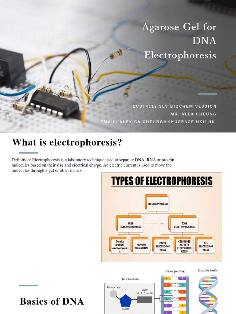 Agarose Gel Electrophoresis Guide | PDF | Gel Electrophoresis | Agarose Gel Electrophoresis