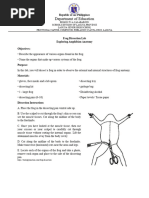 Lab Report - Frog Dissection | PDF | Frog | Anatomy